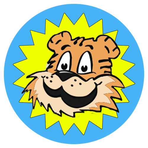 Life Skills Kids – Changing Children’s Lives